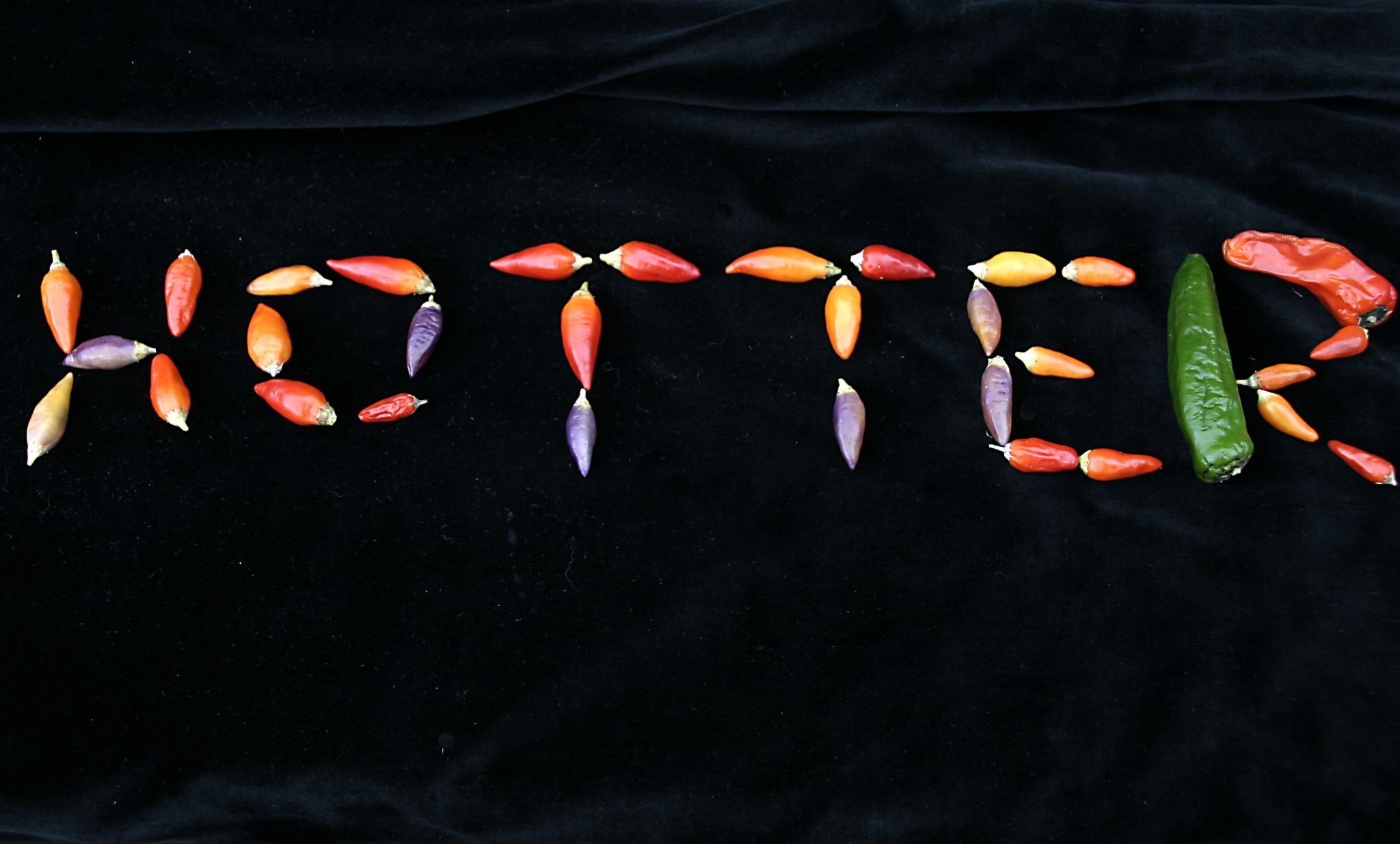 Spicy Beef Jerky Recipes | Homemade Jerky